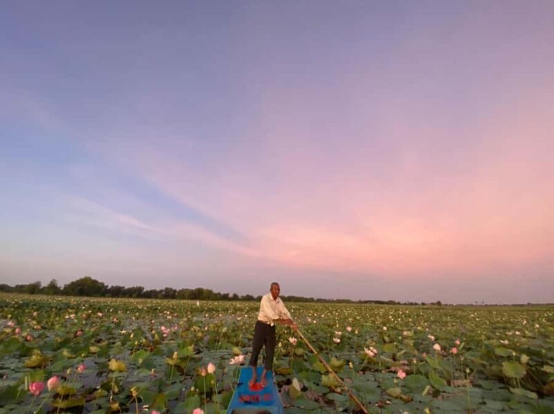 Siem Reap: Lotus Silk Farm - Tour, Lake & Artisan immersion - The Sum Up