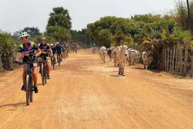 Siem Reap Nature & Cultural Safari Cycling Adventure - Key Points