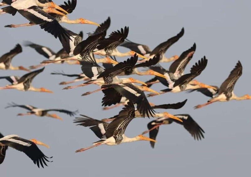 Siem Reap Nature & Cultural Safari Cycling Adventure - The Value of This Experience