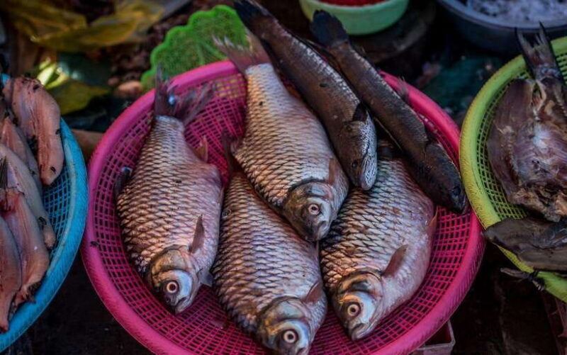 Siem Reap: Night Market Street Food Tour with Dinner - The Value of the Experience