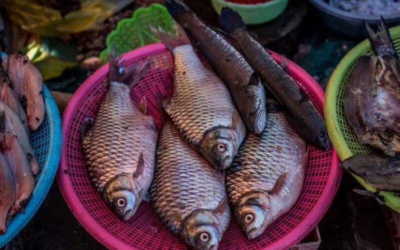 Siem Reap: Night Market Street Food Tour with Dinner - FAQ