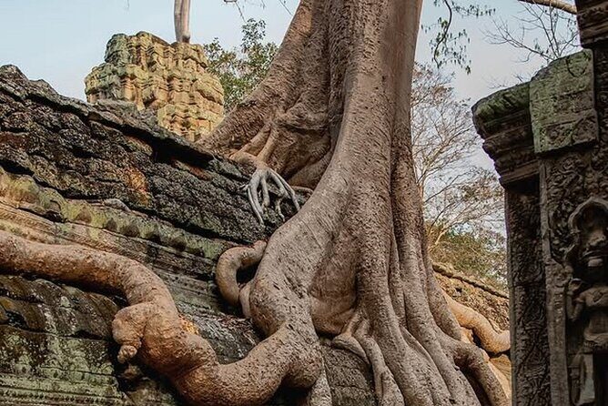 Siem Reap Private Full Day Angkor Wat Tour with Sunset or Sunrise - An In-Depth Look at the Tour Itinerary
