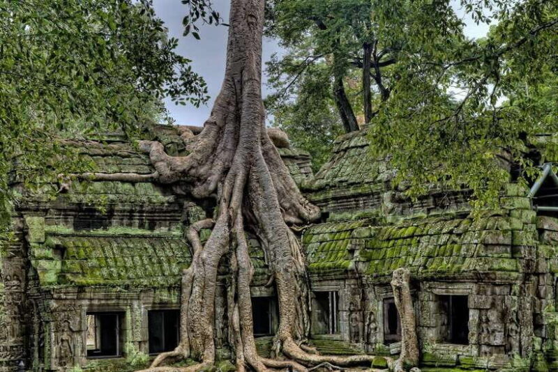 Siem Reap: Private Taxi to Angkor Wat and Small Circuit - Who Is This Tour Best For?