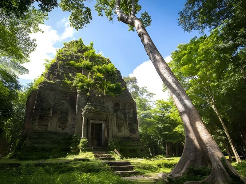 Siem Reap: Sambor Prei Kuk & Preah Kan Kampong Svay Tour - Who Will Love This Tour?