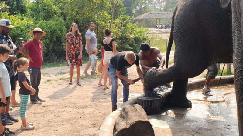 Siem Reap: Small Group Tour of Kulen Elephant Forest - FAQ: Your Practical Questions Answered