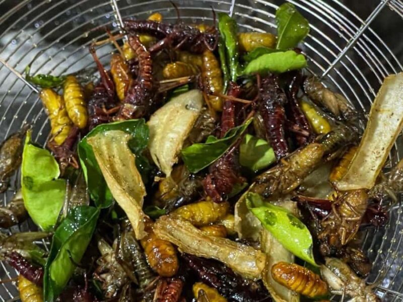 Siem Reap: Street Food in private & in English - What Past Participants Say