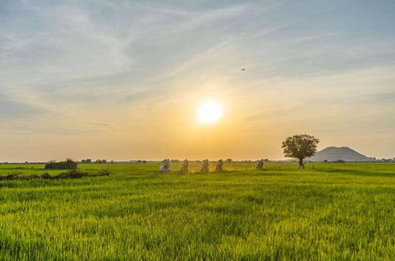 Siem Reap: Sunset Guided Vespa Tour & Local Villages - Visiting Local Farms and Cottage Industries