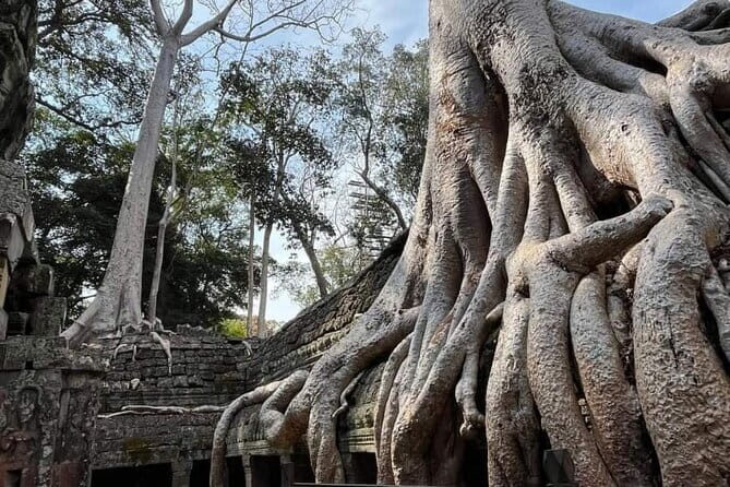 Siem Reap Temple Tuktuk Tour: Explore Angkor Wat and beyond. - The Sum Up