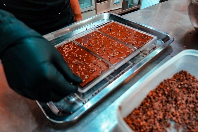 Siem Reap Visit to Cambodias first chocolate factory - The Sum Up