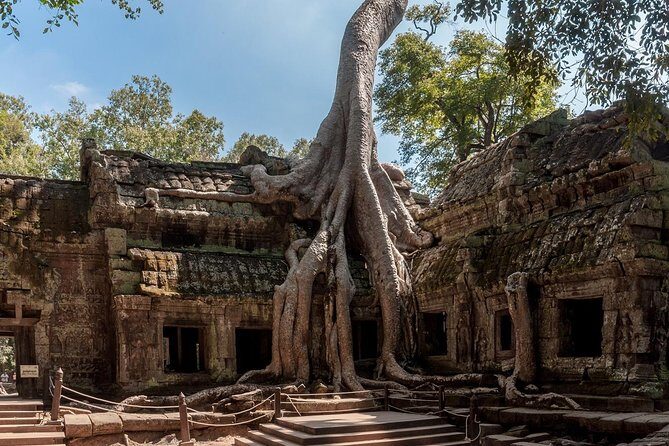Siem Reaps signature temples discovered - Key Points
