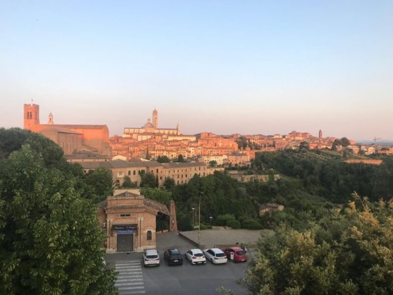 Siena: 3h Private City Walking Tour with Optional Cathedral - Pricing and Value