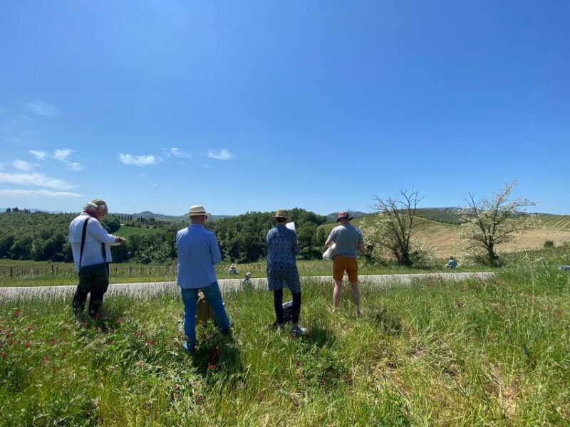 Siena and San Gimignano Tour by van from Lucca or Pisa - Authentic Experience and Day-to-Day Realities