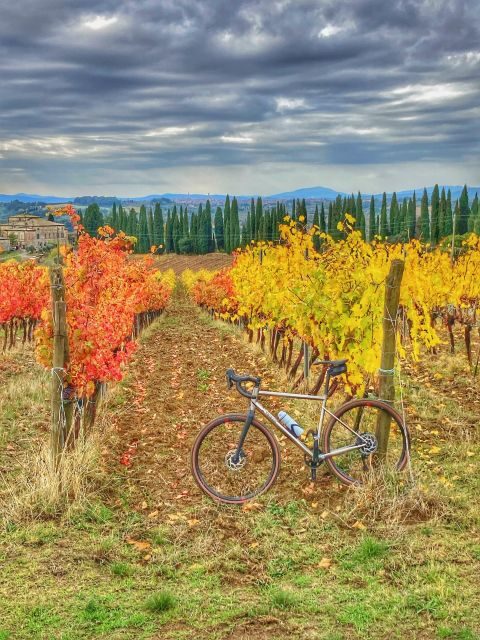 Siena: Chianti Classico Guided Cycling Tour - Authenticity, Value, and Unique Appeal