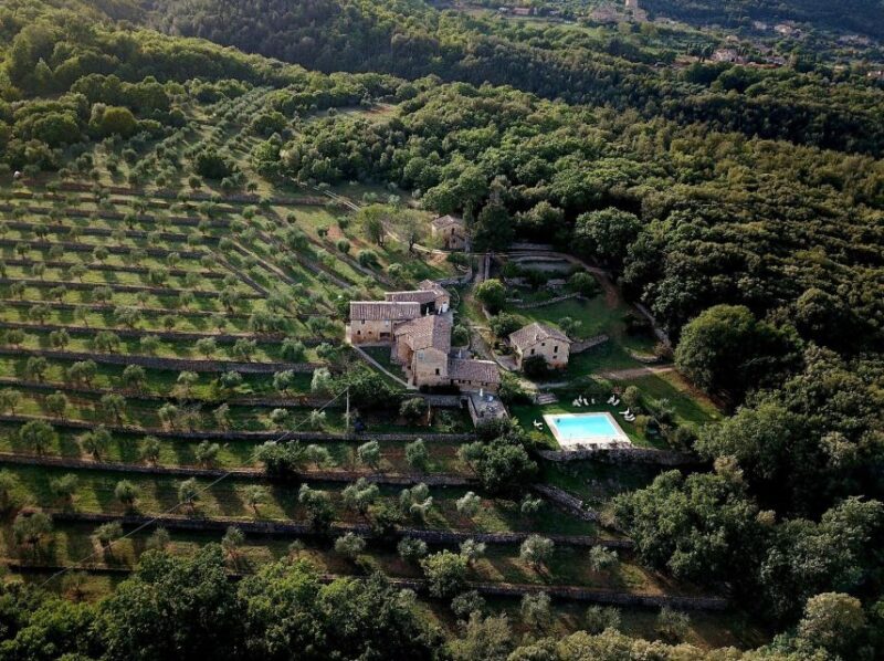 Siena countryside: cooking class in a real Tuscan farmhouse - The Sum Up