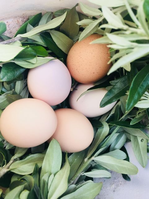 Siena countryside: cooking class in a real Tuscan farmhouse - FAQ