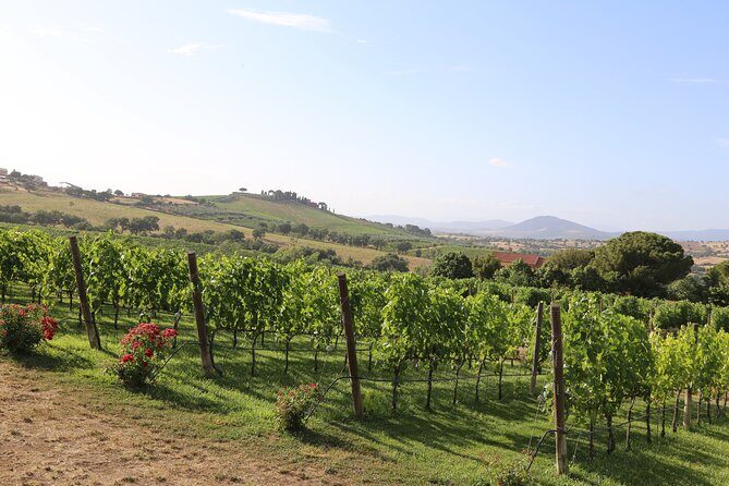 Siena countryside: cooking class in an exclusive estate - FAQs