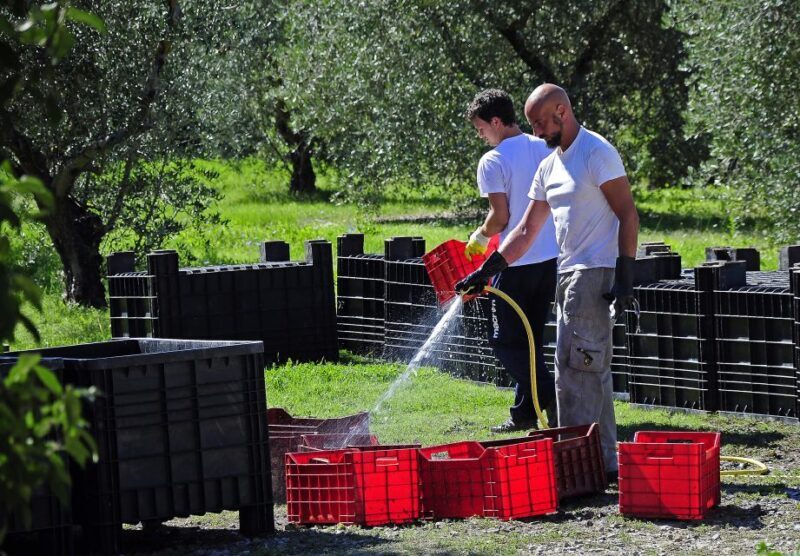 Siena: Educational Wine Tour & Tasting - Who Will Love This Experience?
