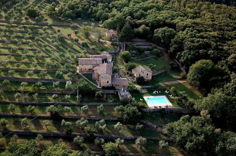 Siena: EVO oil experience with walk, tasting and lunch - An In-Depth Look at the Siena EVO Oil Experience