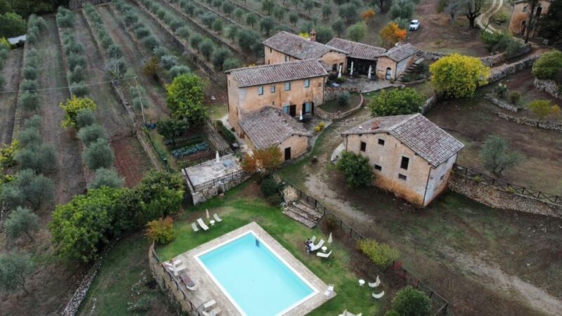 Siena: EVO oil experience with walk, tasting and lunch - Final Verdict