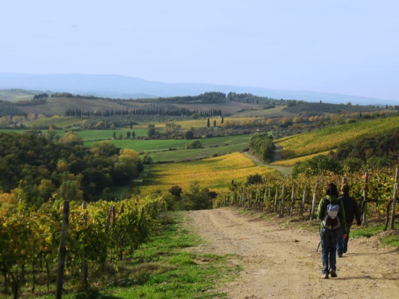 Siena: Half-day Guided Hike to Monteriggioni - Monteriggioni: A Medieval Marvel