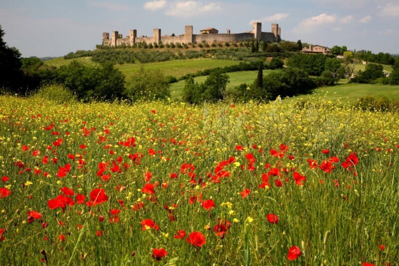 Siena: Half-day Guided Hike to Monteriggioni - Transport and Practicalities