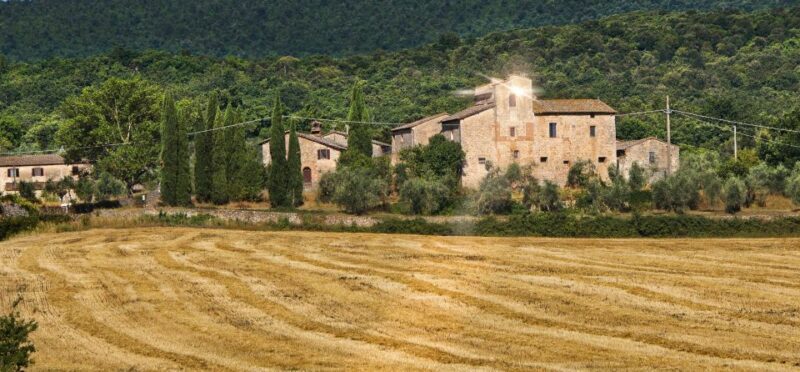 Siena: Half-day Guided Hike to Monteriggioni - The Sum Up