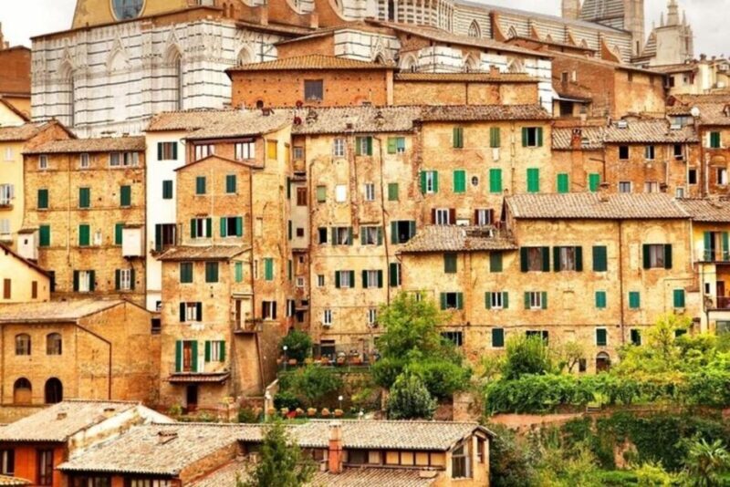 Siena : Highlights Private Walking tour - An Overview of What to Expect