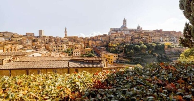 Siena : Highlights Private Walking tour - The Landmark: Piazza del Campo