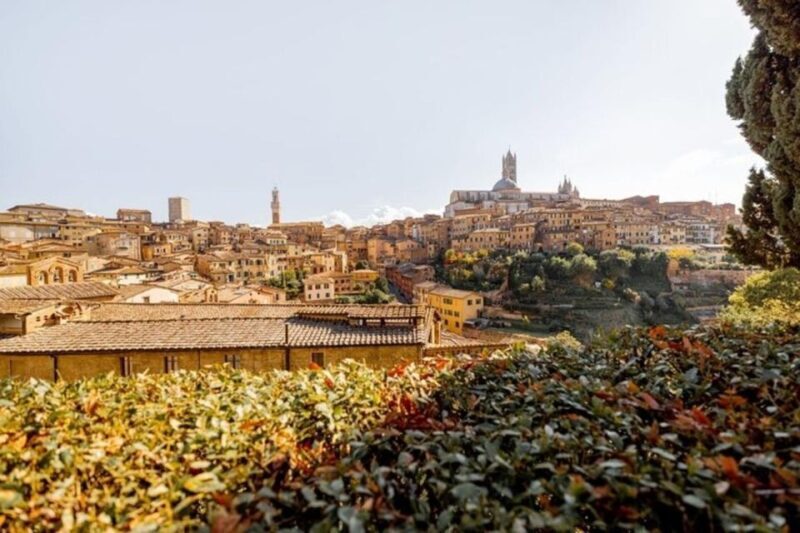 Siena : Highlights Private Walking tour - UNESCO-listed Palaces: Palazzo Tolomei and Palazzo Salimbeni