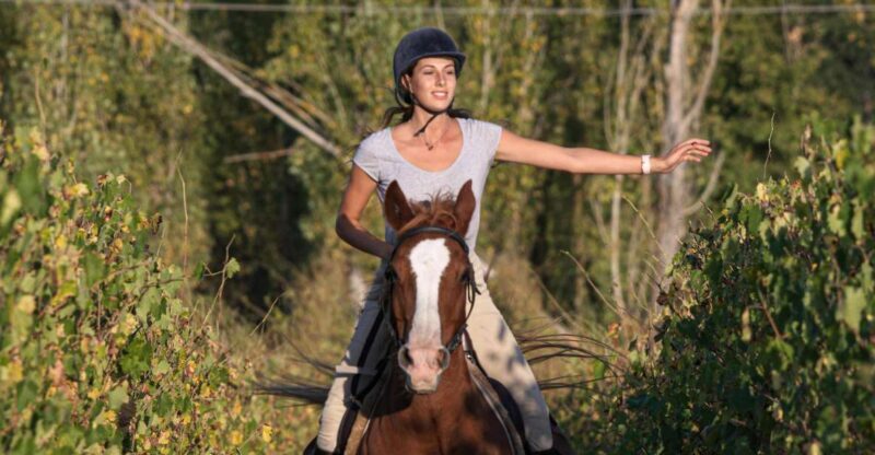 Siena: Horseback Adventure in the Tuscan Countryside - Siena: Horseback Adventure in the Tuscan Countryside