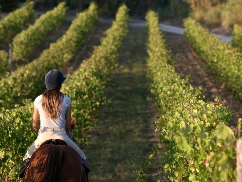 Siena: Horseback Adventure in the Tuscan Countryside - The Practicalities: What You Need to Know