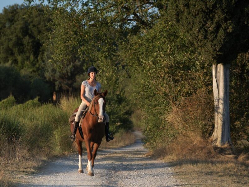 Siena: Horseback Adventure in the Tuscan Countryside - Authenticity and Value