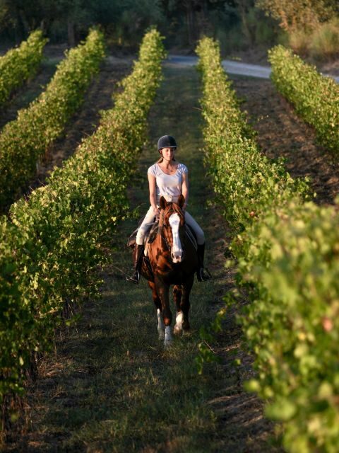 Siena: Horseback Adventure in the Tuscan Countryside - Who Should Consider This Tour?