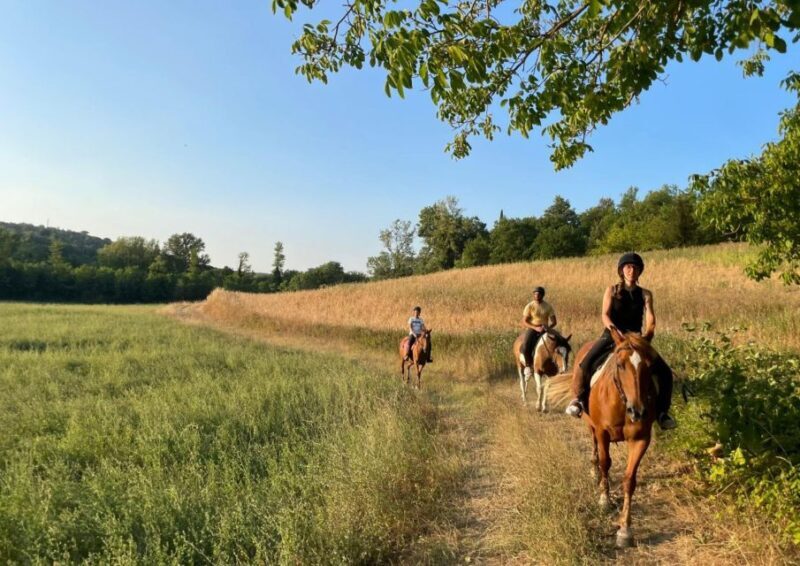 Siena: Horseback Adventure in the Tuscan Countryside - The Sum Up: A Unique Way to Experience Tuscany