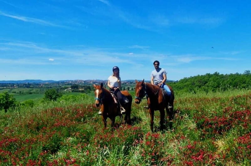 Siena: Horseback Riding Tour in the Tuscany Countryside - Key Points