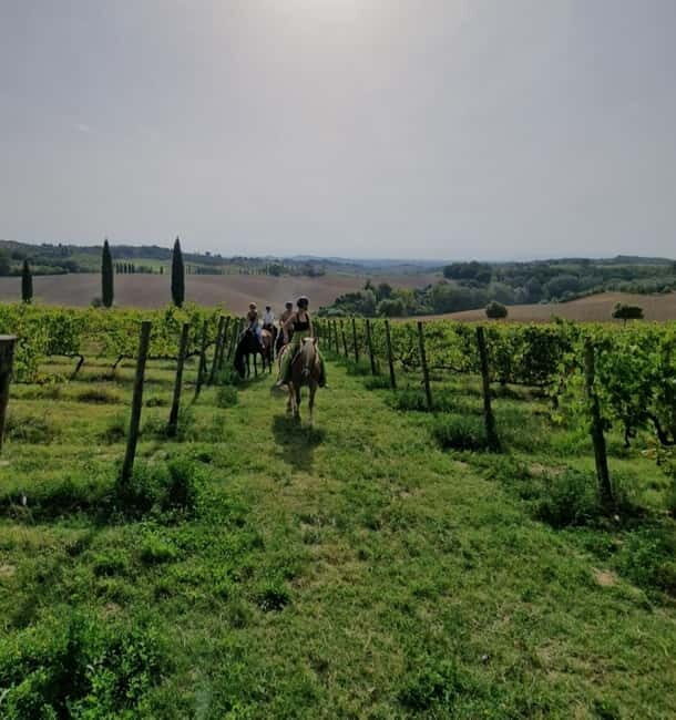 Siena: Horseback Riding Tour in the Tuscany Countryside - A Scenic Ride Through the Heart of Tuscany