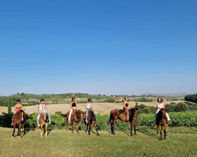 Siena: Horseback Riding Tour in the Tuscany Countryside - What to Expect During the Tour