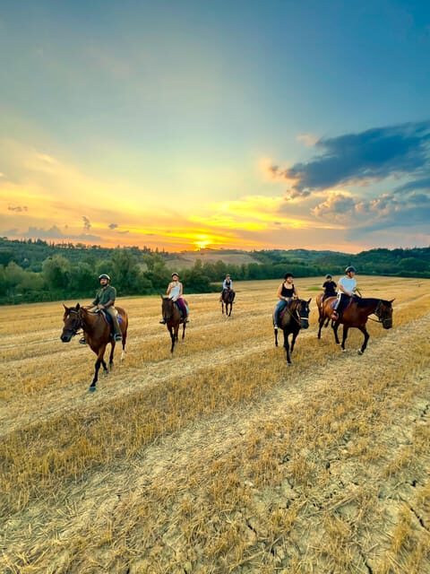 Siena: Horseback Riding with Siena in the background - An Authentic Ride Through Tuscany’s Heart