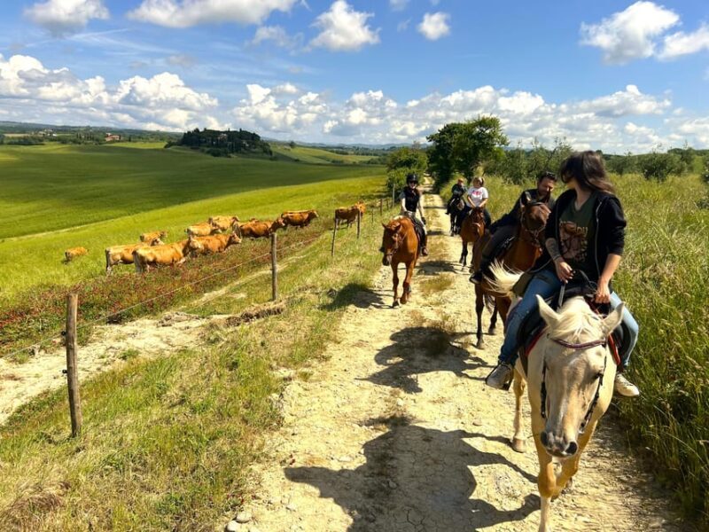 Siena: Horseback Riding with Siena in the background - What Travelers Say