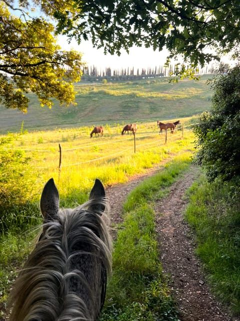 Siena: Horseback Riding with Siena in the background - Who Should Consider This Tour?