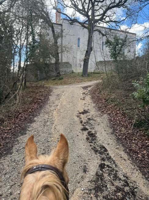 Siena: Horseback Tour on the Via Francigena - A Balanced Look at the Horseback Experience in Siena