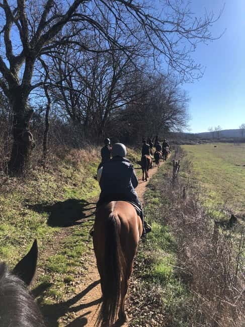 Siena: Horseback Tour on the Via Francigena - Who Will Love This Experience?