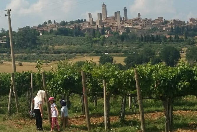 Siena Monteriggioni San Gimignano with Lunch&WineTasting Fullday from Florence - Authentic Experiences That Matter
