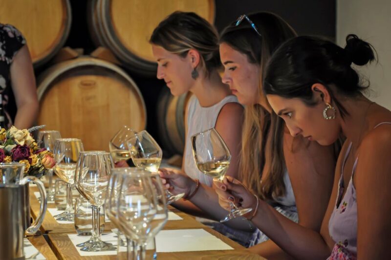 Siena: Organic Winery Tour and Wine Tasting - Key Points