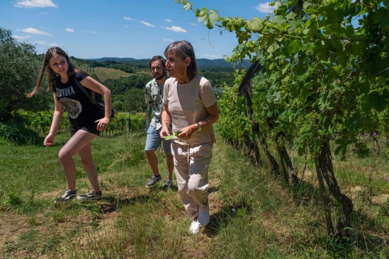 Siena: Organic Winery Tour and Wine Tasting - Group Size & Duration