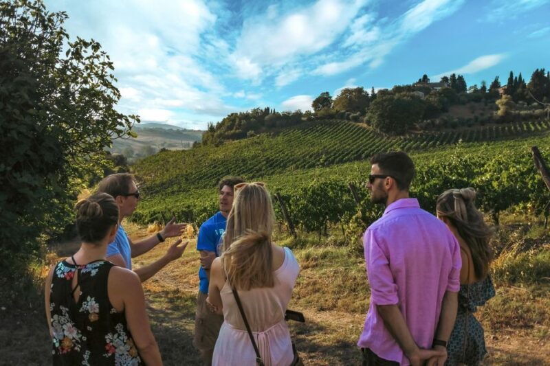 Siena: Organic Winery Tour and Wine Tasting - The Sum Up