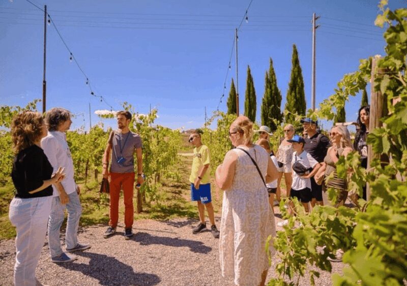 Siena, Pisa & San Gimignano Tour with Lunch and Wine Tasting - Final Thoughts