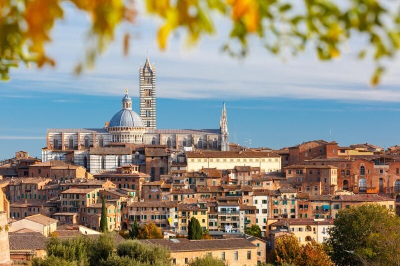 Siena: Private City Highlights Walking Tour - Key Points