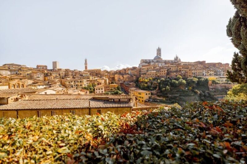 Siena: Private Custom Tour with a Local Guide - Exploring Siena with a Private Guide: What to Expect
