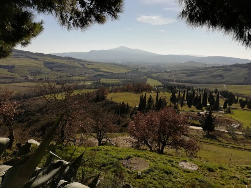 Siena - Rome Transfer Tour with Orvieto & Montepulciano - Value and Practicalities